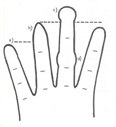 Vos doigts ont-ils une signification? - Le RIME - Réseau International ...