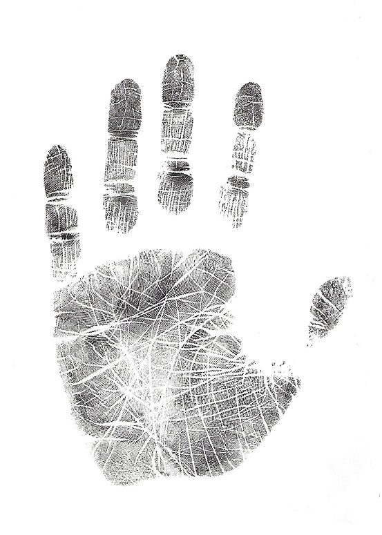 Quel est votre tempérament, d'après vos mains? - Le RIME - Réseau ...